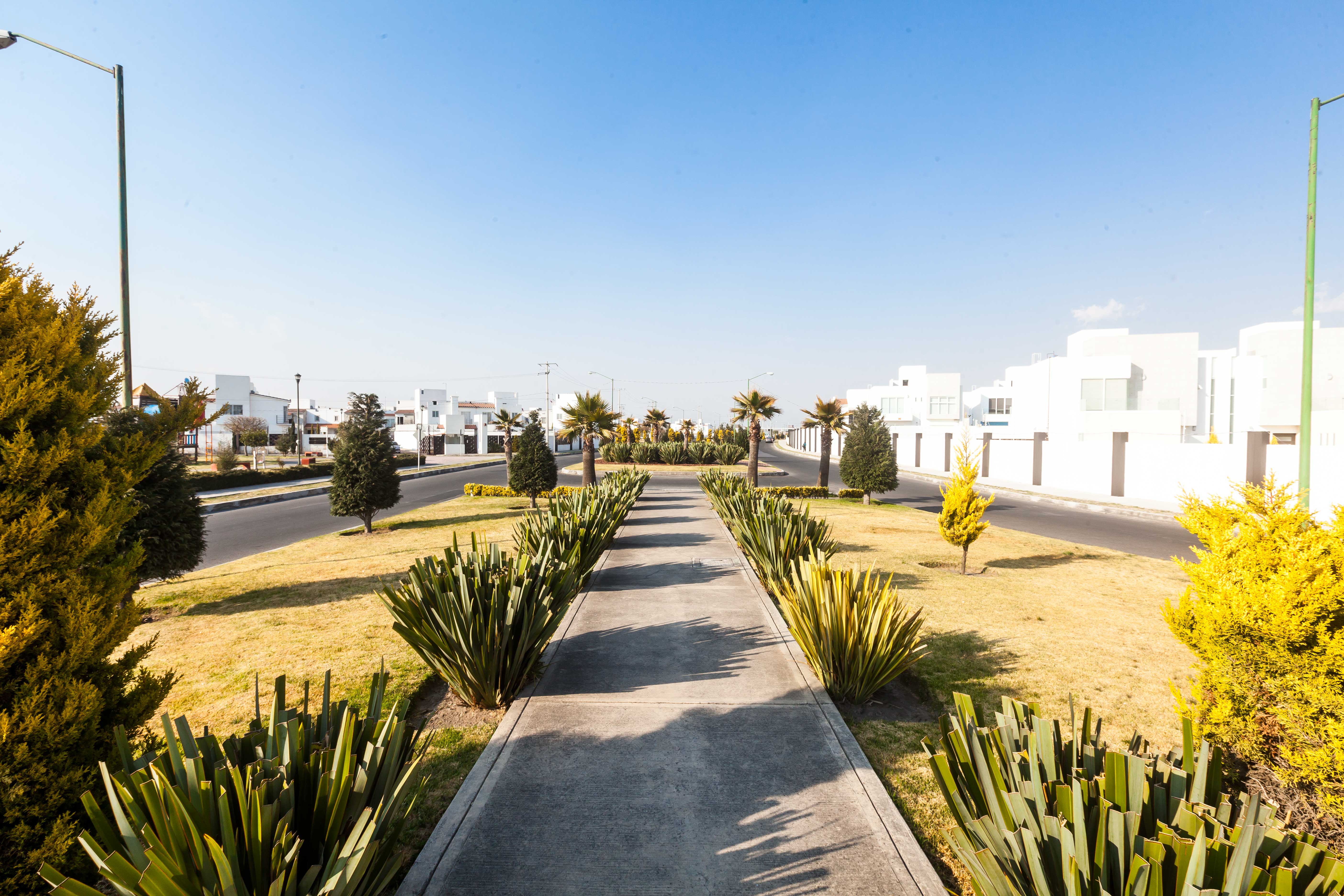 Dream Lagoons | Metepec